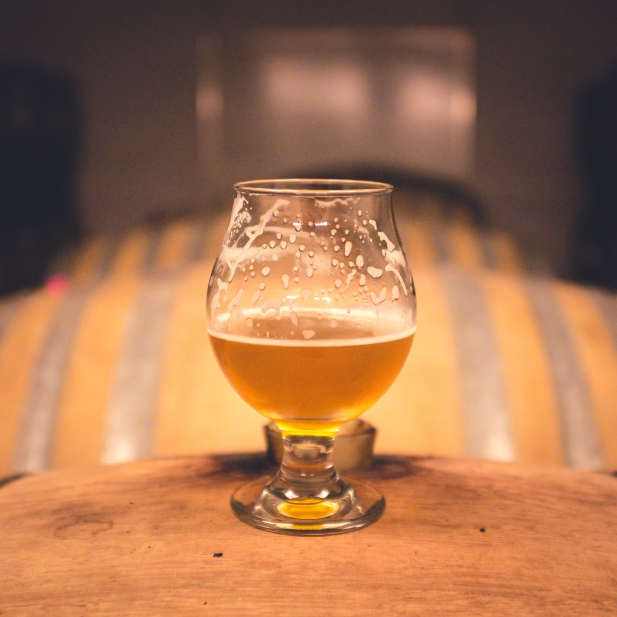 The Ultimate Guide to IPA Beer – Drink NY Craft