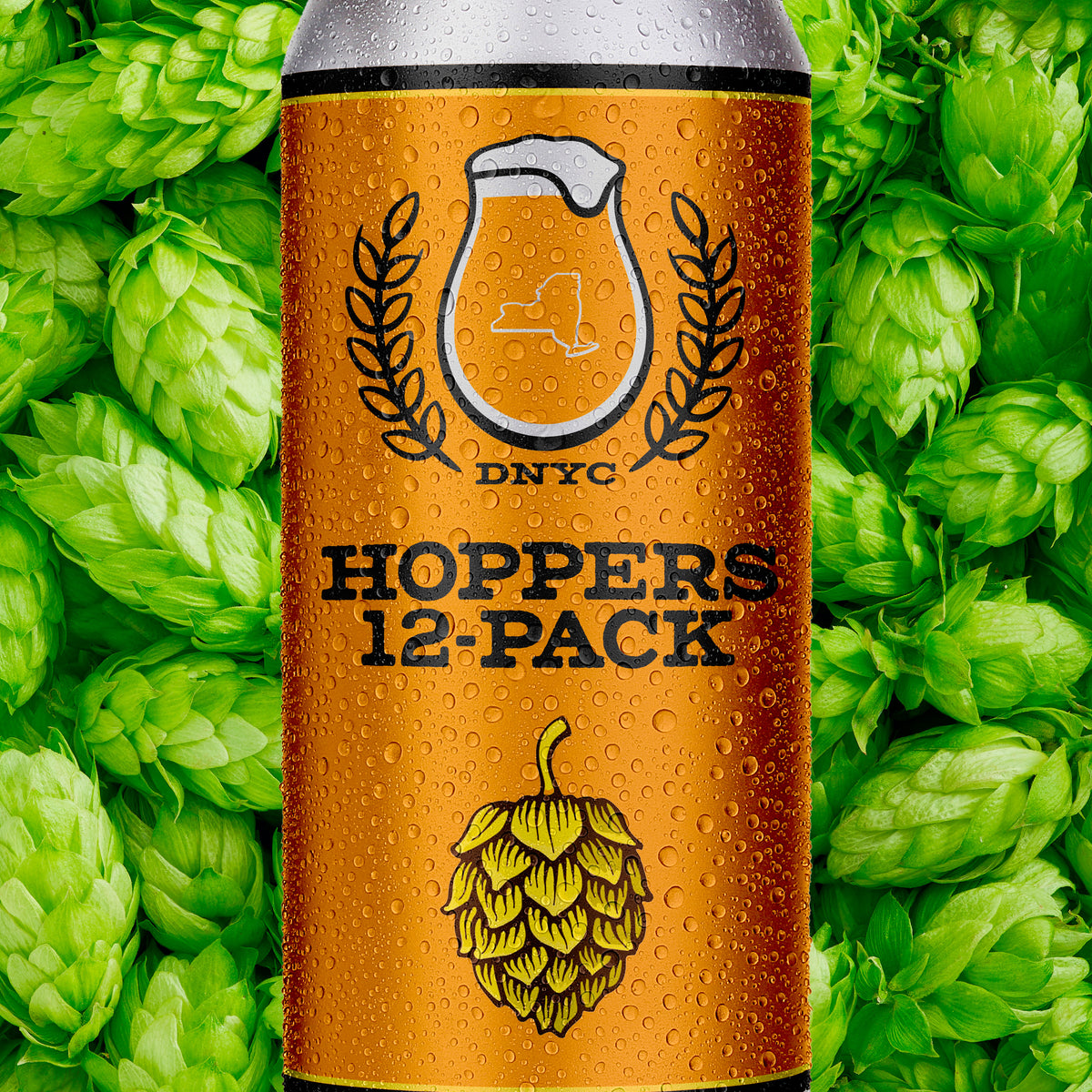 Hoppers 12-Pack Bundle – Drink NY Craft