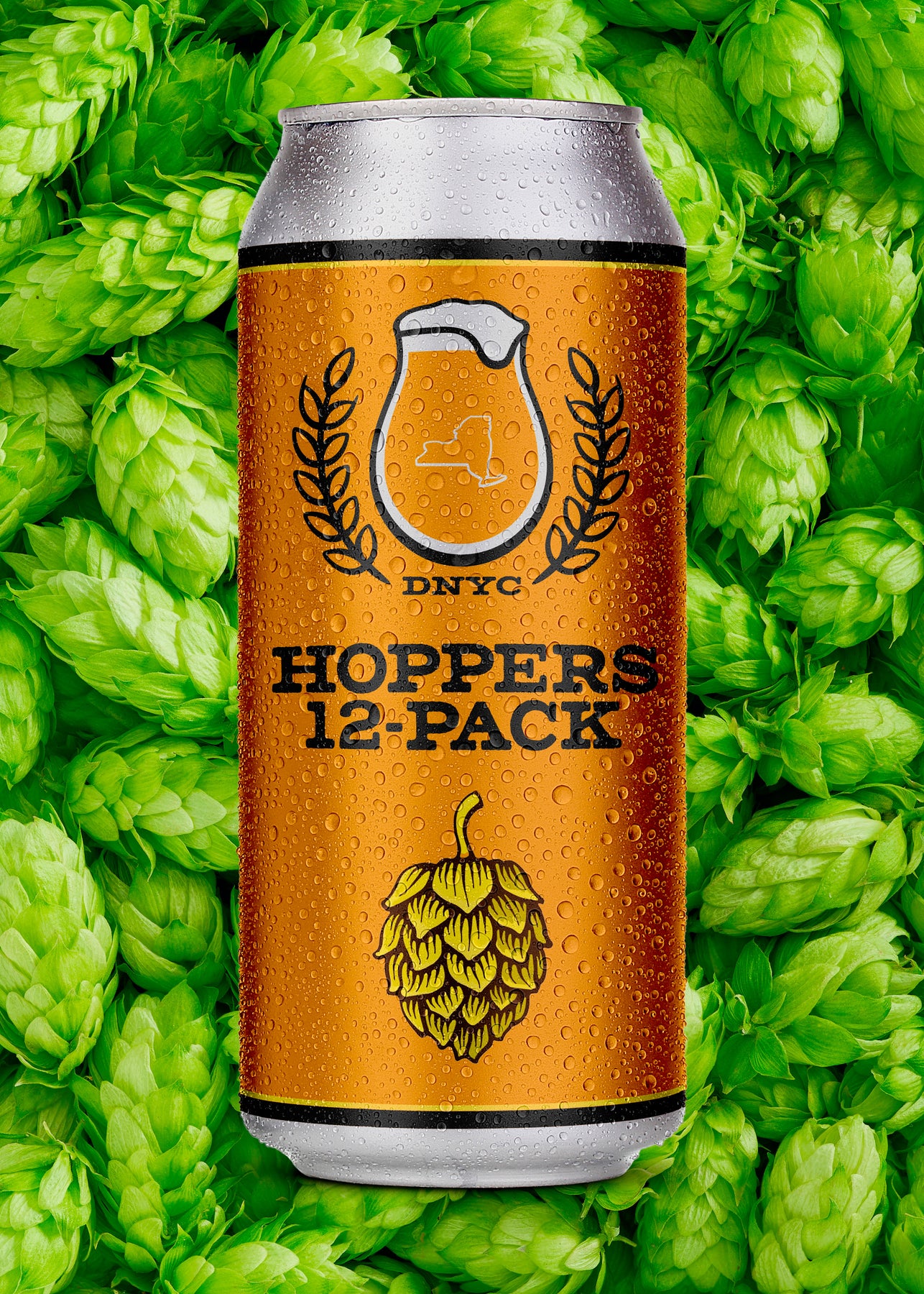 Hoppers 12-pack – Drink NY Craft