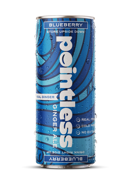 Pointless - Blueberry Ginger Ale – Drink NY Craft