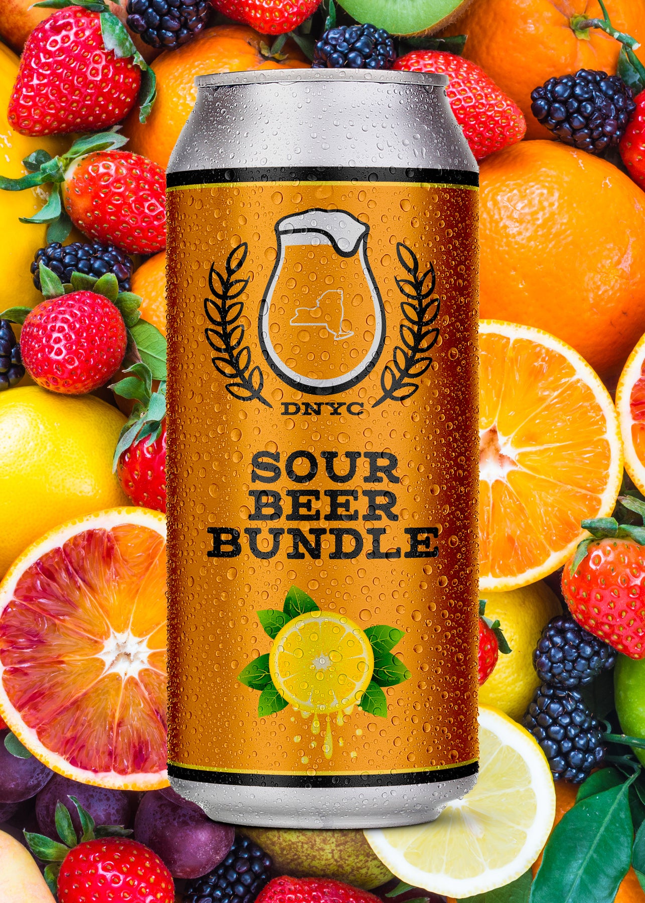 Sour Beer Bundle – Drink NY Craft