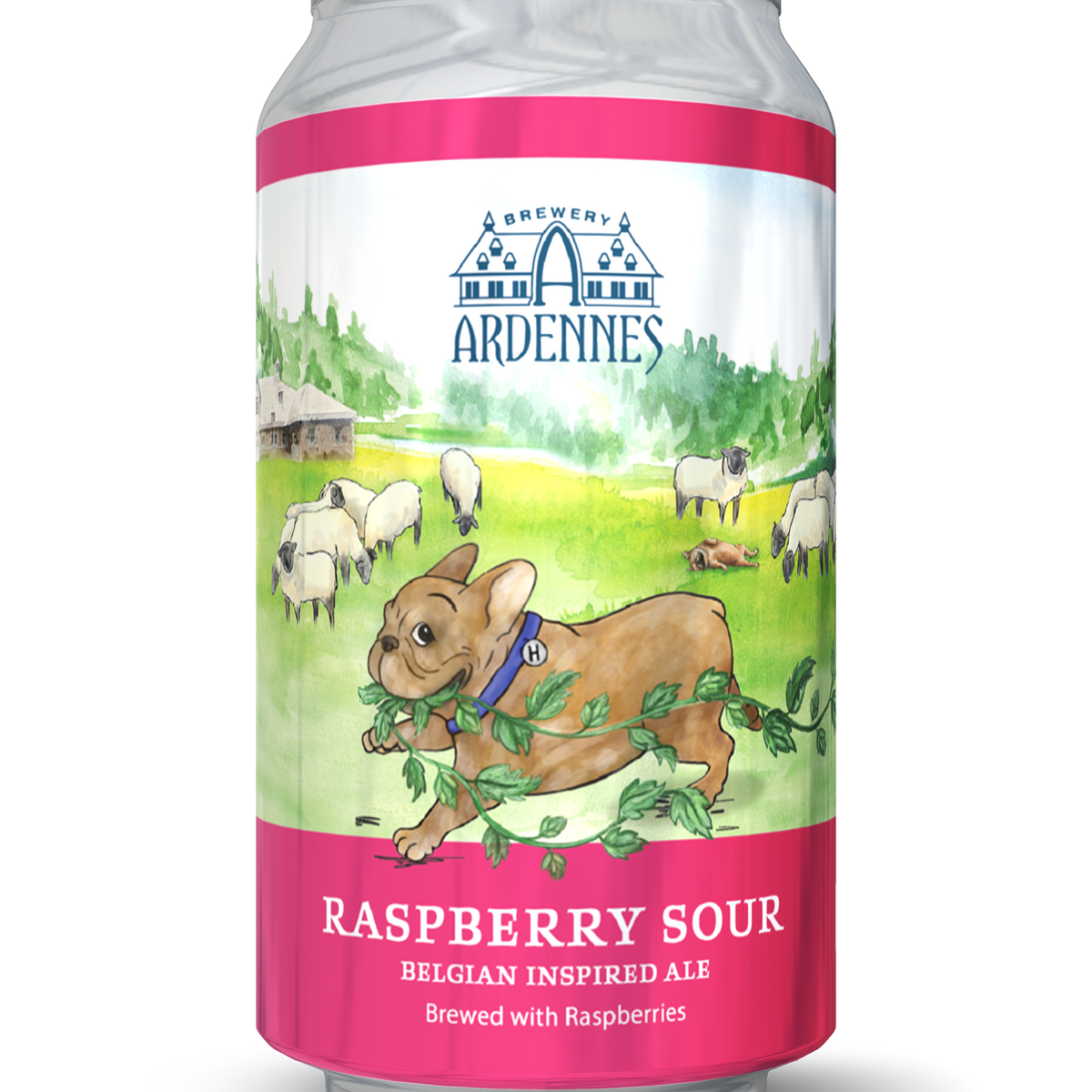 Belgian Raspberry Sour – Drink NY Craft